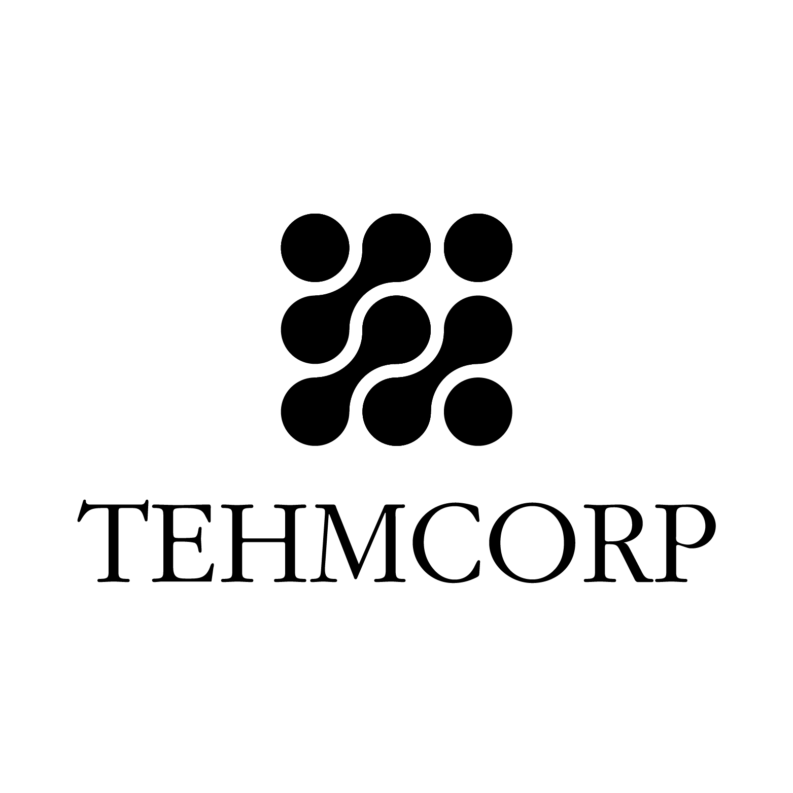 TehmCorp – Logosdechile