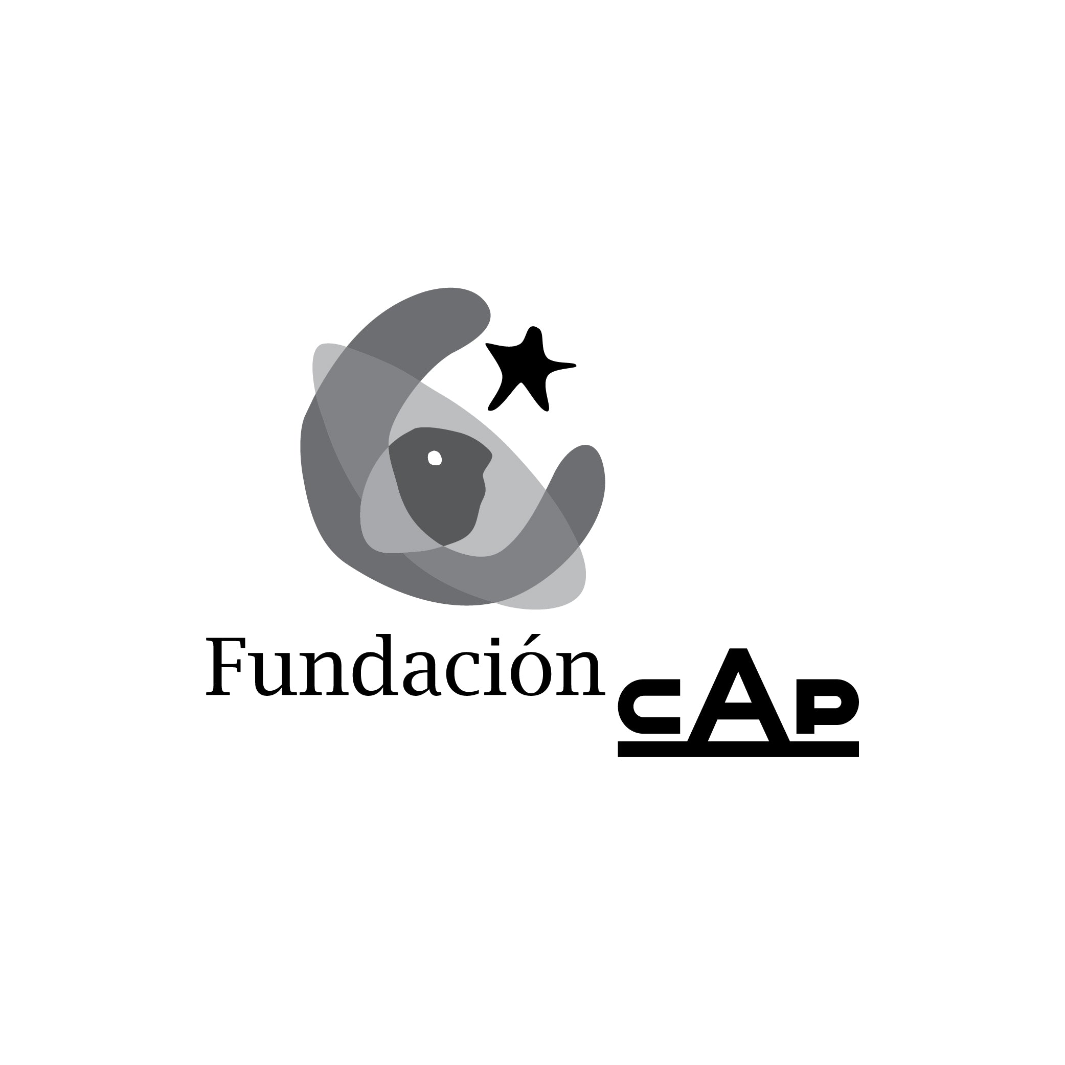 Fundación CAP – Logosdechile