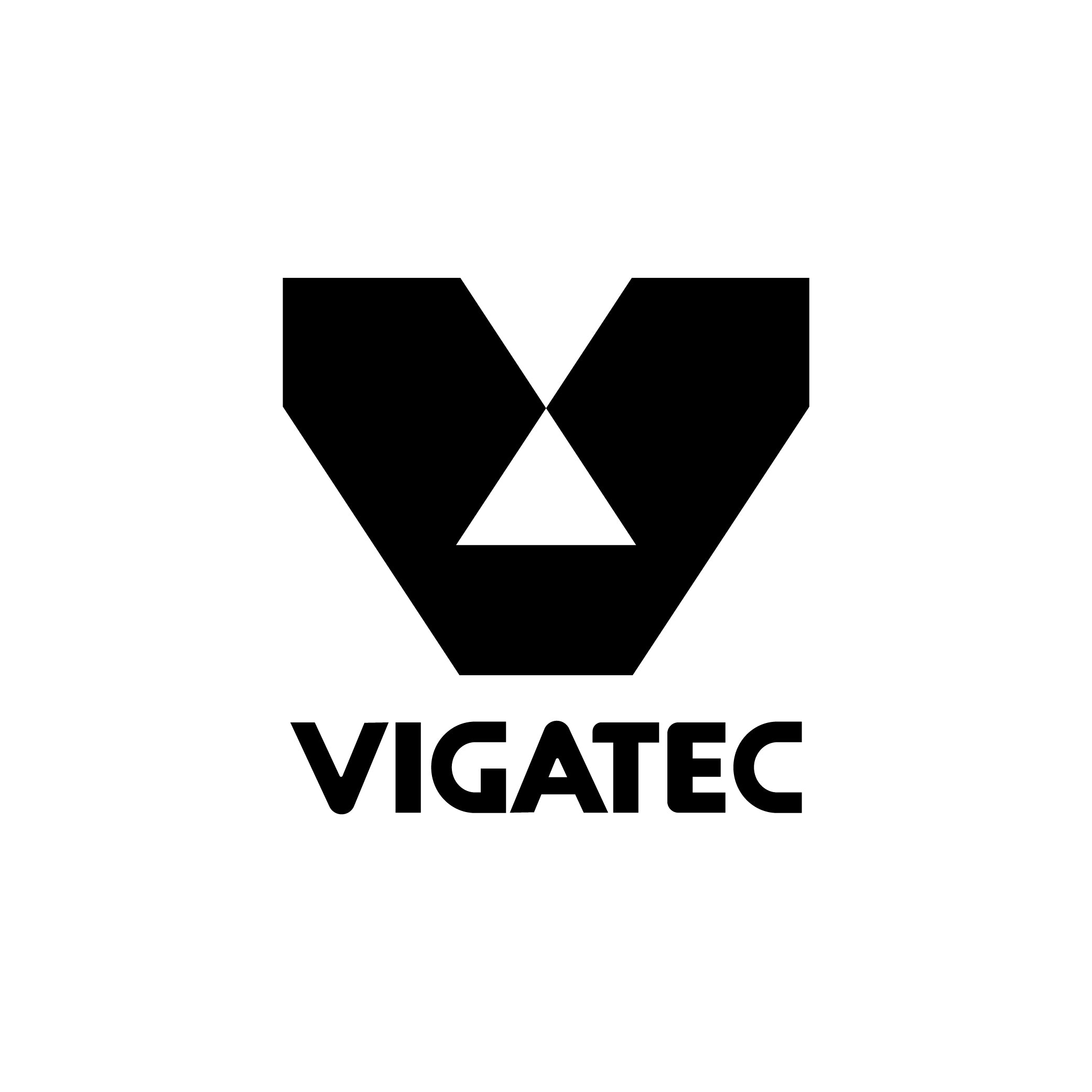 Vigatec – Logosdechile